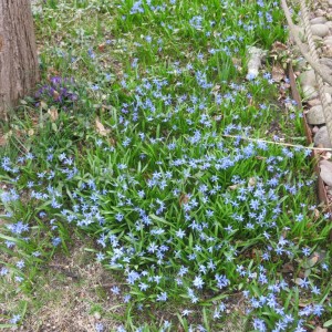 Grooving With Spring | Seeds of Design